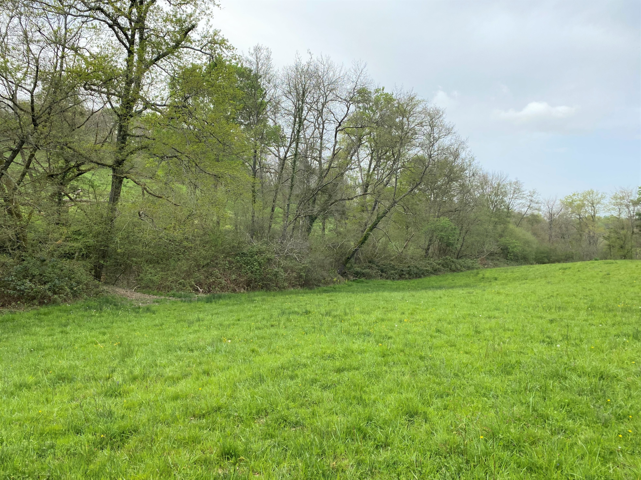 Vente 14 5 Hectares